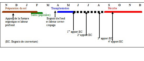 Paprika: Calendrier cultural et itinéraire technique de la Niora dans ...
