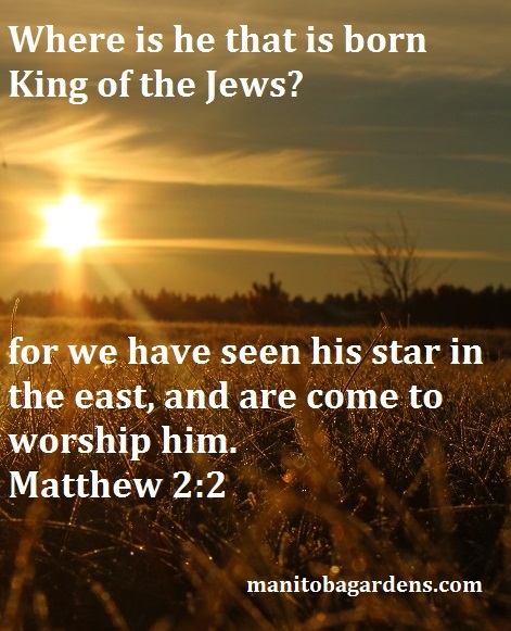 Living Our Lives Well: Scripture Picture Sunday # 18 Matthew 2:2