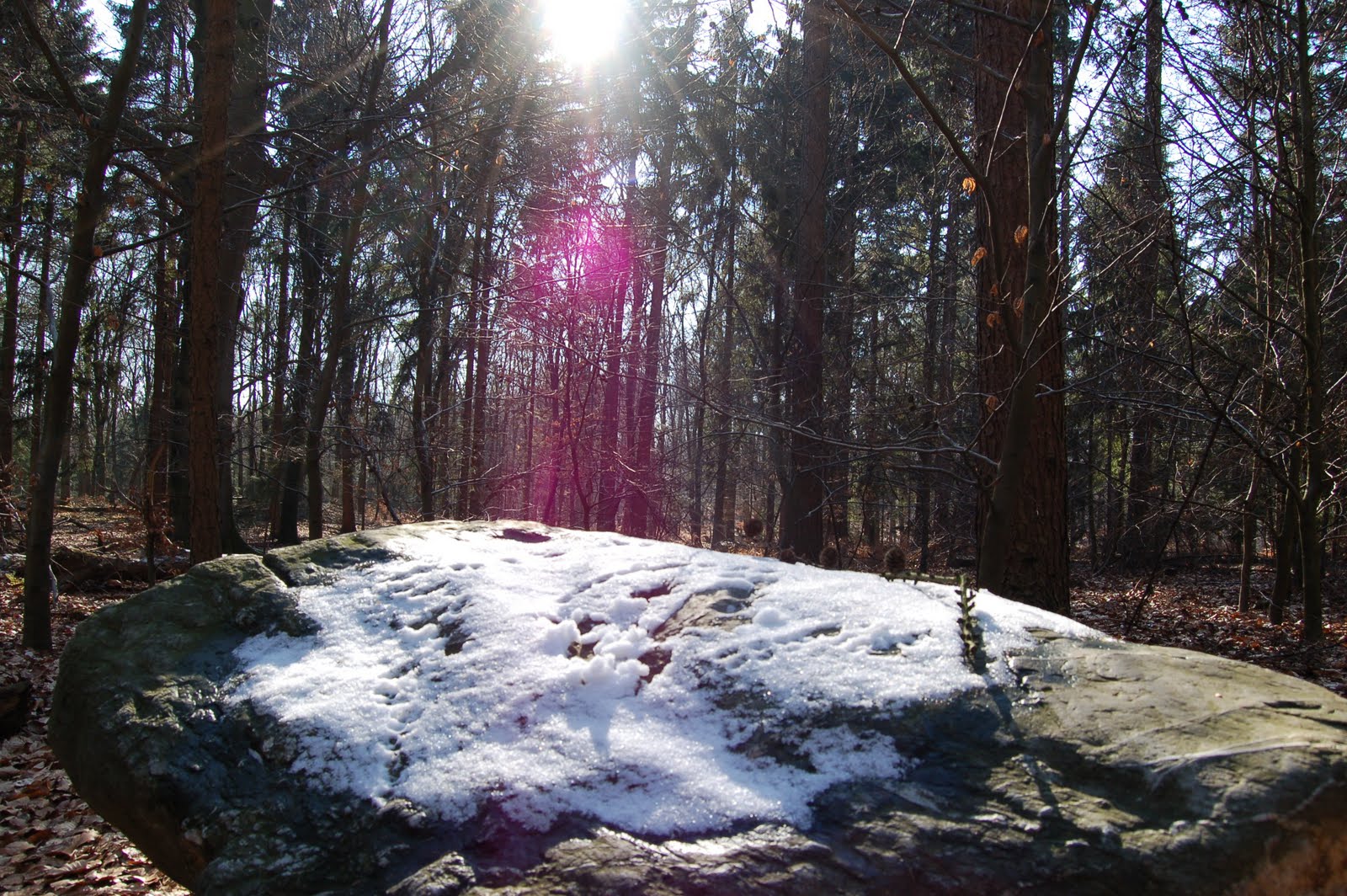 Ruud's Tijdreizen: DE DUIVELSSTEEN IN DE ONZALIGE BOSSEN BIJ DE STEEG ...