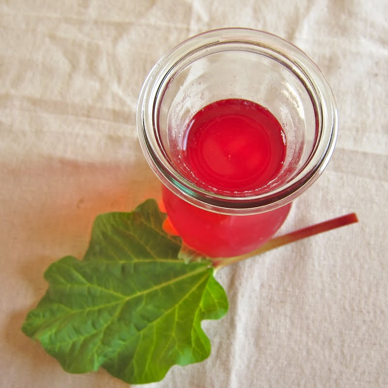 Arctic Garden Studio: Rhubarb Simple Syrup