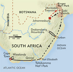 It's A Very Cherry World!: FEARSOME LIONS