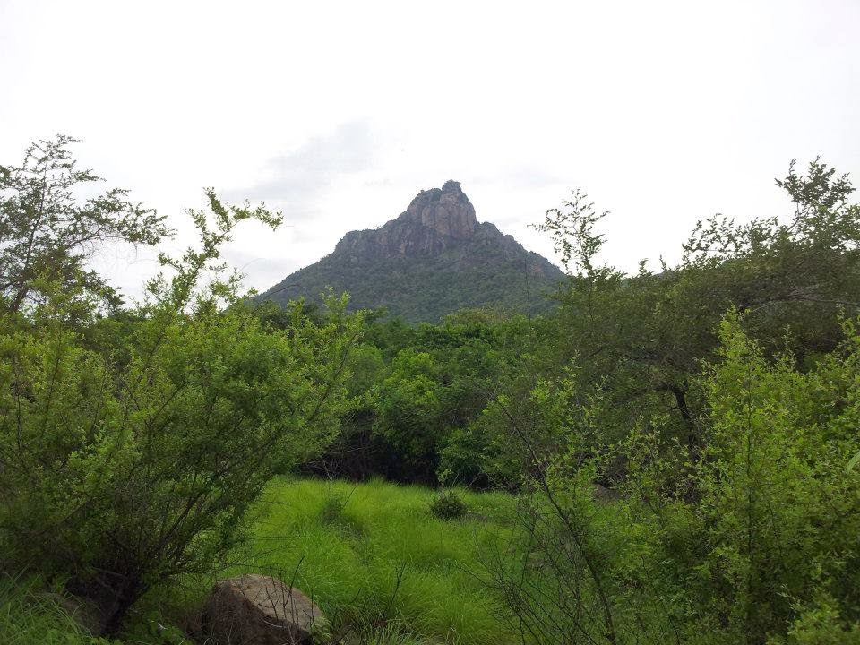 parvathamalai-greatest-moutain temple-ever visited -tiruvannamalai