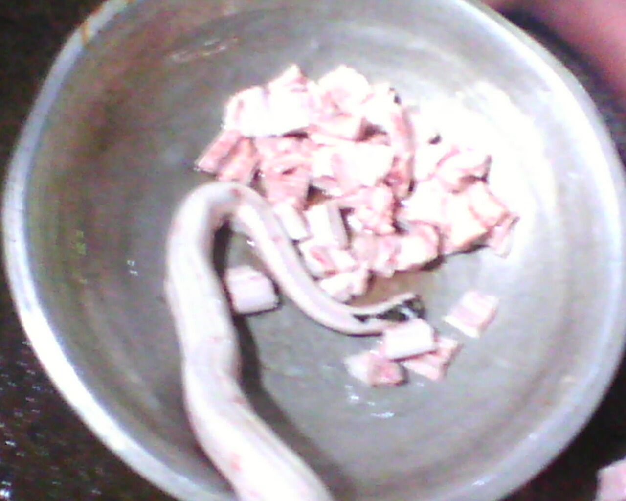 JOHANAN Papyrus: Preparing an Exotic Food (Snake)