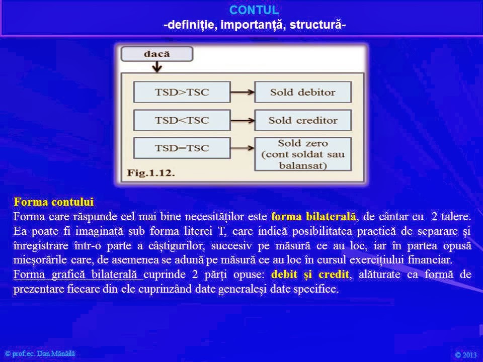 PROFU ECONOMIST: CONTUL
