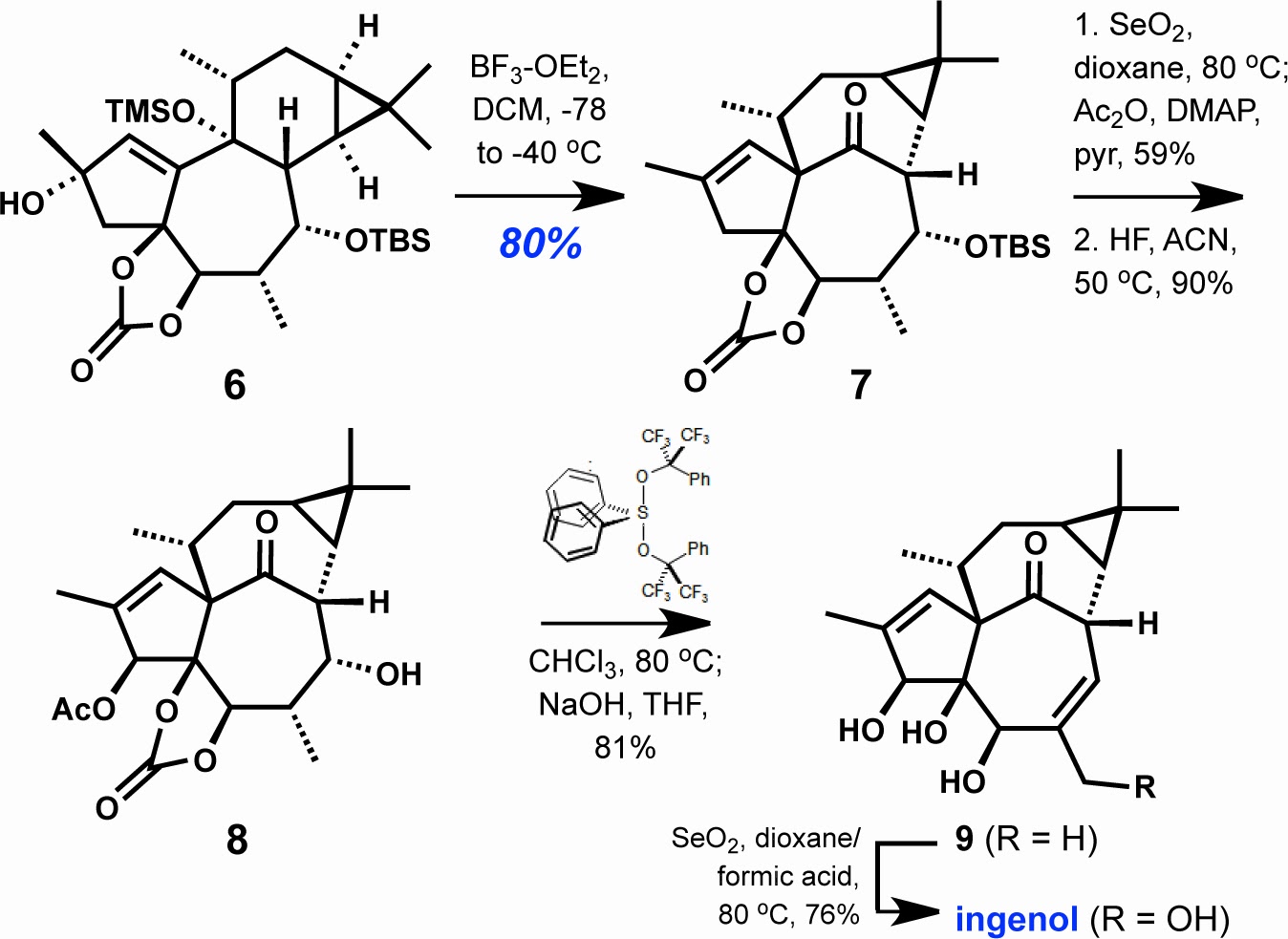 modern steroid science: Baran's Expedient Chemical Synthesis of (+)-Ingenol