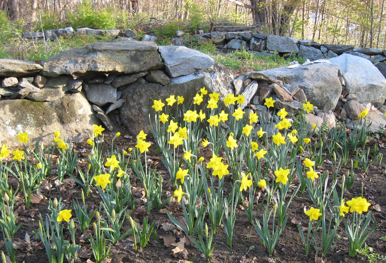 Maynard Life Outdoors and Hidden History of Maynard: 2018