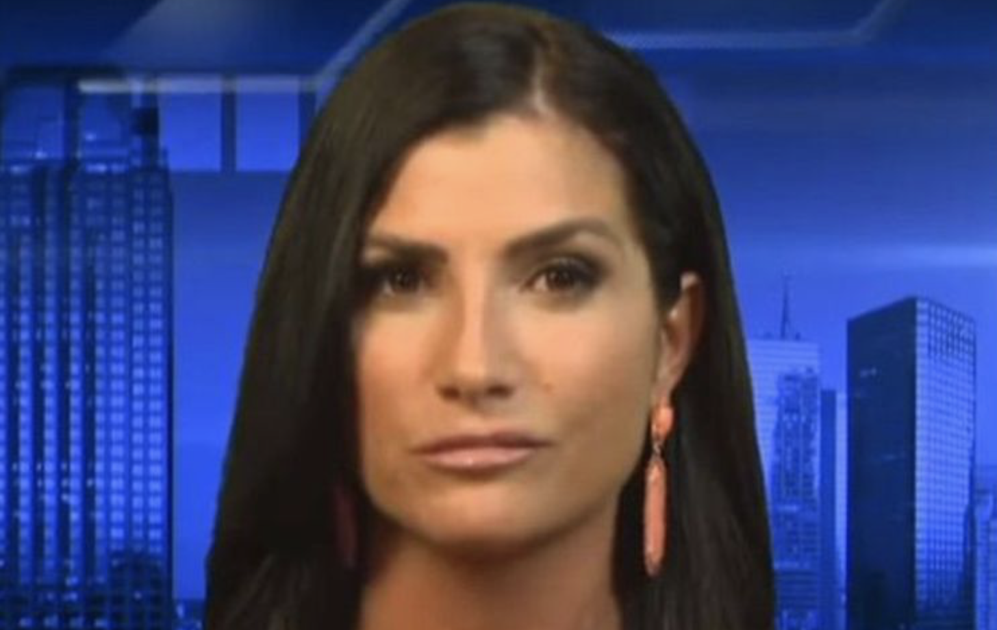 NRA spokeswoman Loesch hits back at Democratic lawmaker’s ‘security ...