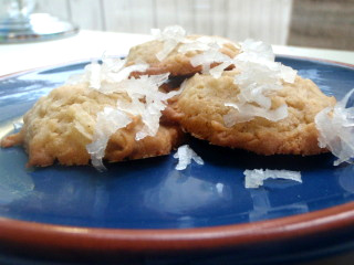 Coconetes - The Bella Insider