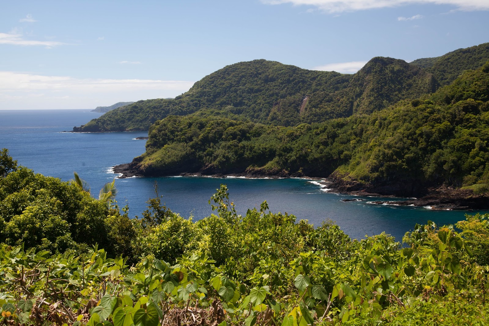 Binkelian Trek Trax: NP#59 - American Samoa