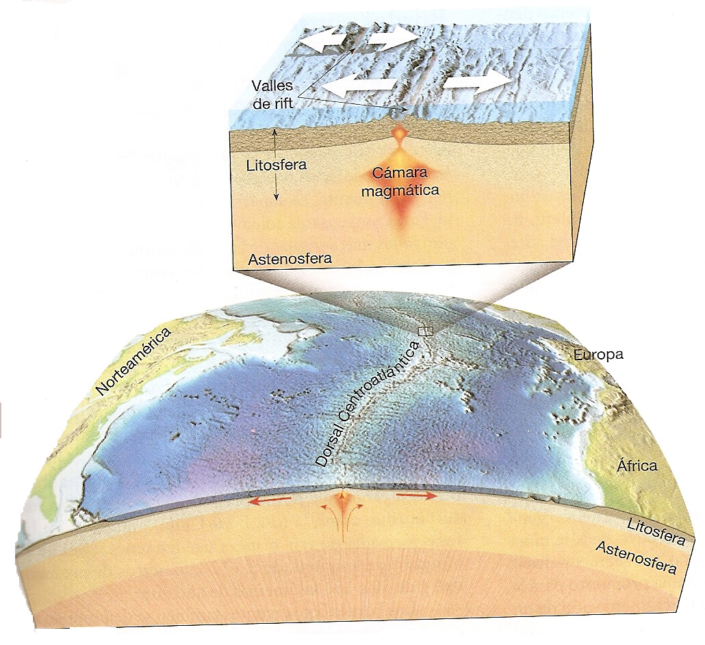Ciencias de la Tierra: TECTONICA DE PLACAS