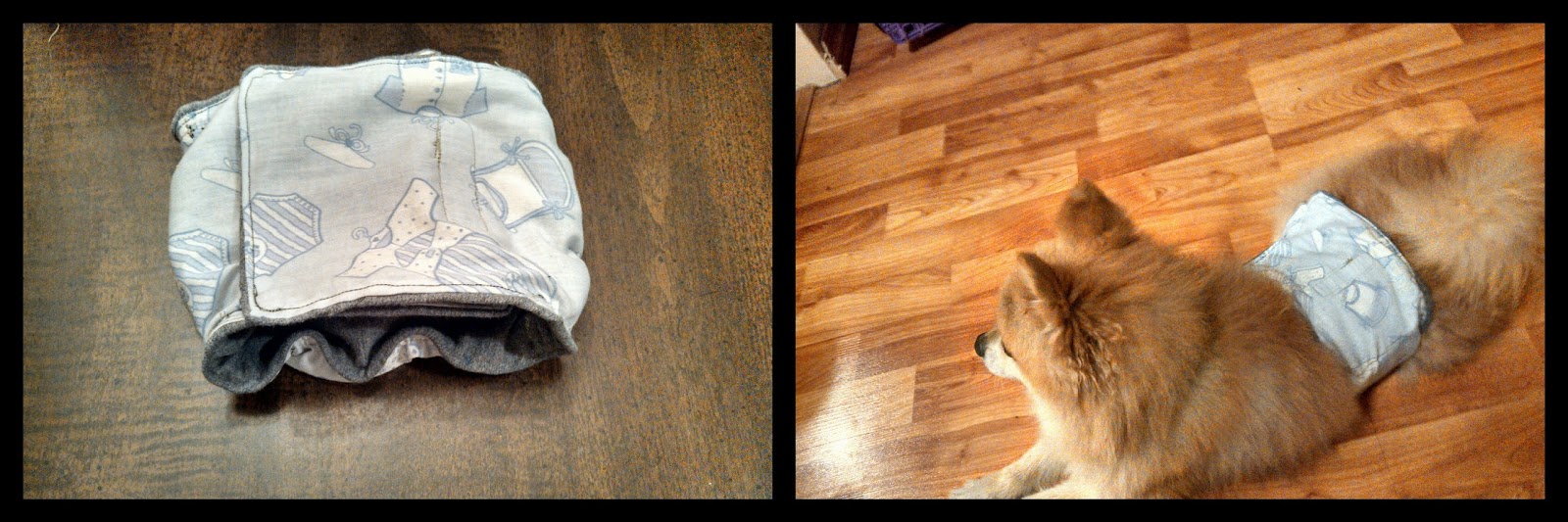 Grandma Bonnie's Closet: Male Dog Belly Band (Diaper) DIY