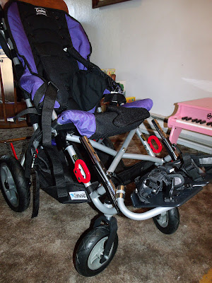 A Picture a Day for a Year in MY Autism Lifestyle