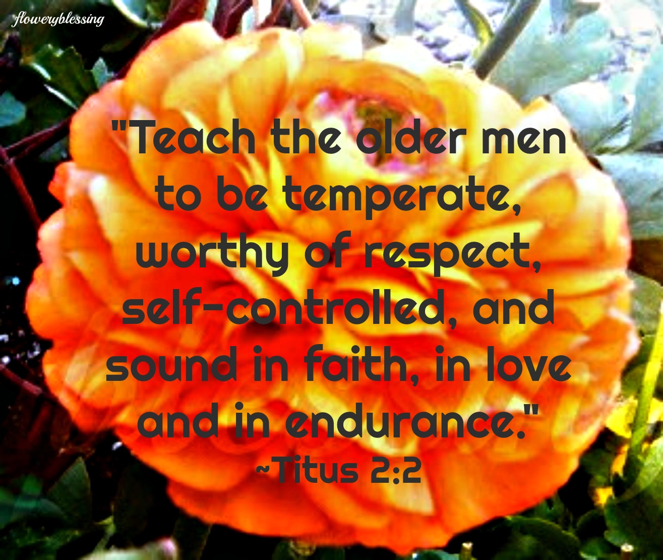 Flowery Blessing: "Teach the older men to be temperate, worthy of ...