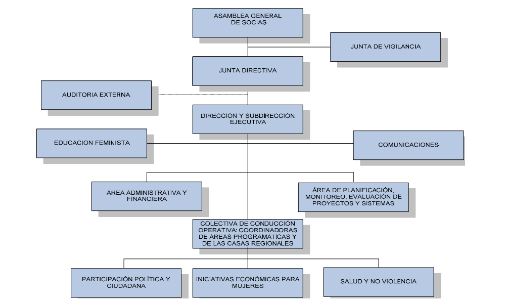 SEMINARIO DE AUDITORIA : ORGANIZACIONES NO GUBERNAMENTALES ¨"ONG'S"