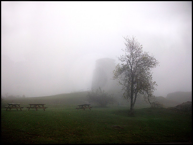 Everton Terrace: she read, she saw...