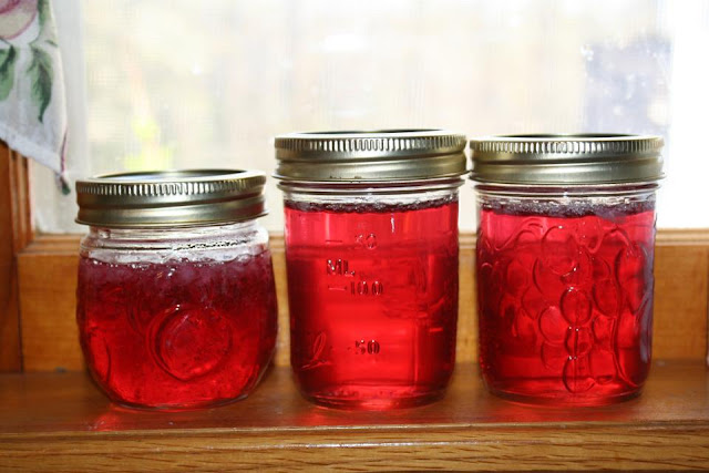 Mr. Johnson's Redbud Jelly