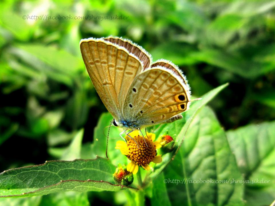 Let's Walk Together And Explore The World. Shall We? : Some shots of ...