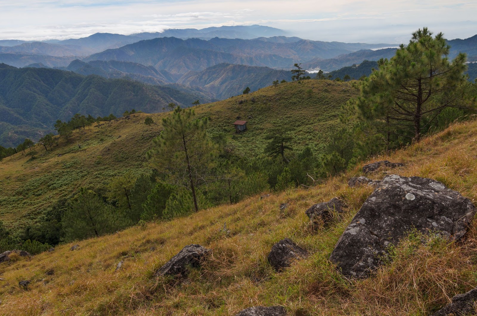 A Guide to Mount Ulap Cloud Mountain Ampucao Itogon Benguet | AvianQuests