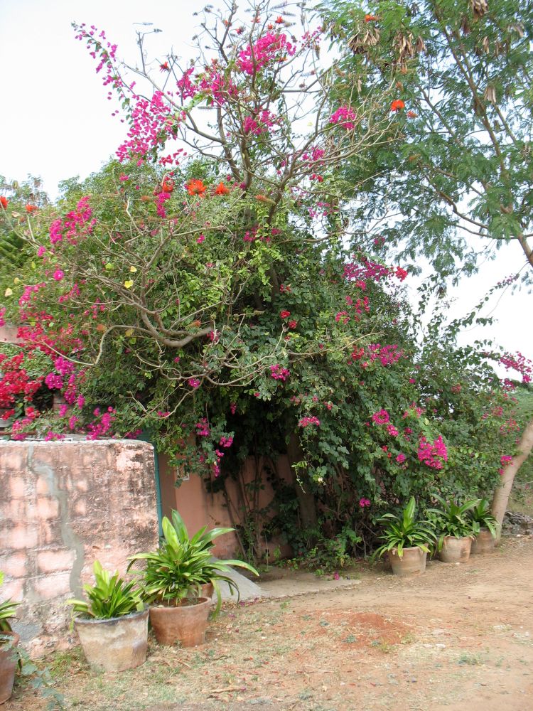 February 2013 - ARUNACHALA LAND