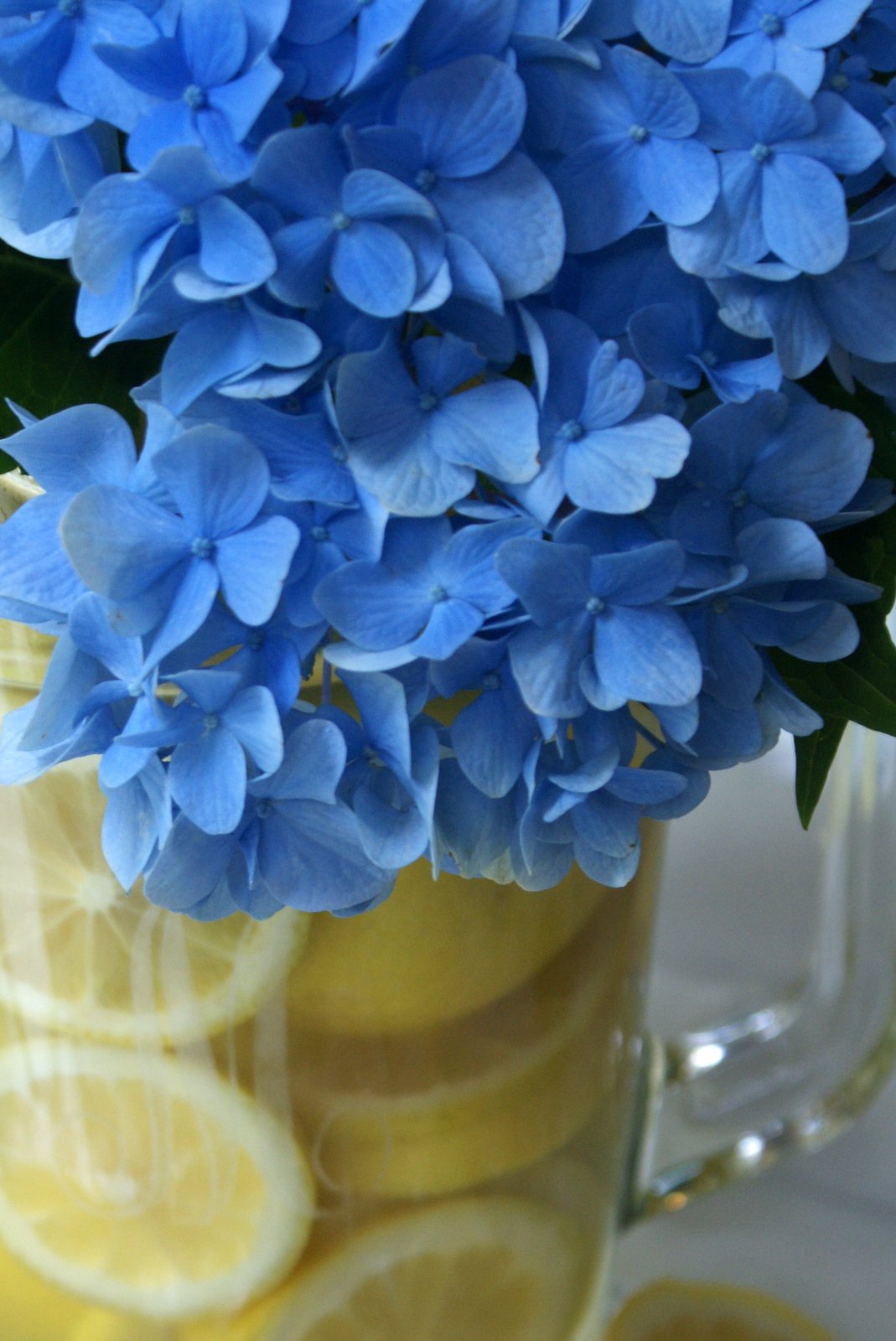 A Little Loveliness: Spring Teacher Gift