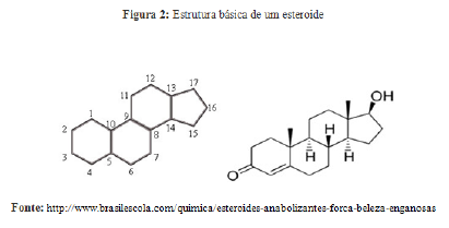 PIBID e o Ensino de Química: Esteróides: Uma beleza forjada