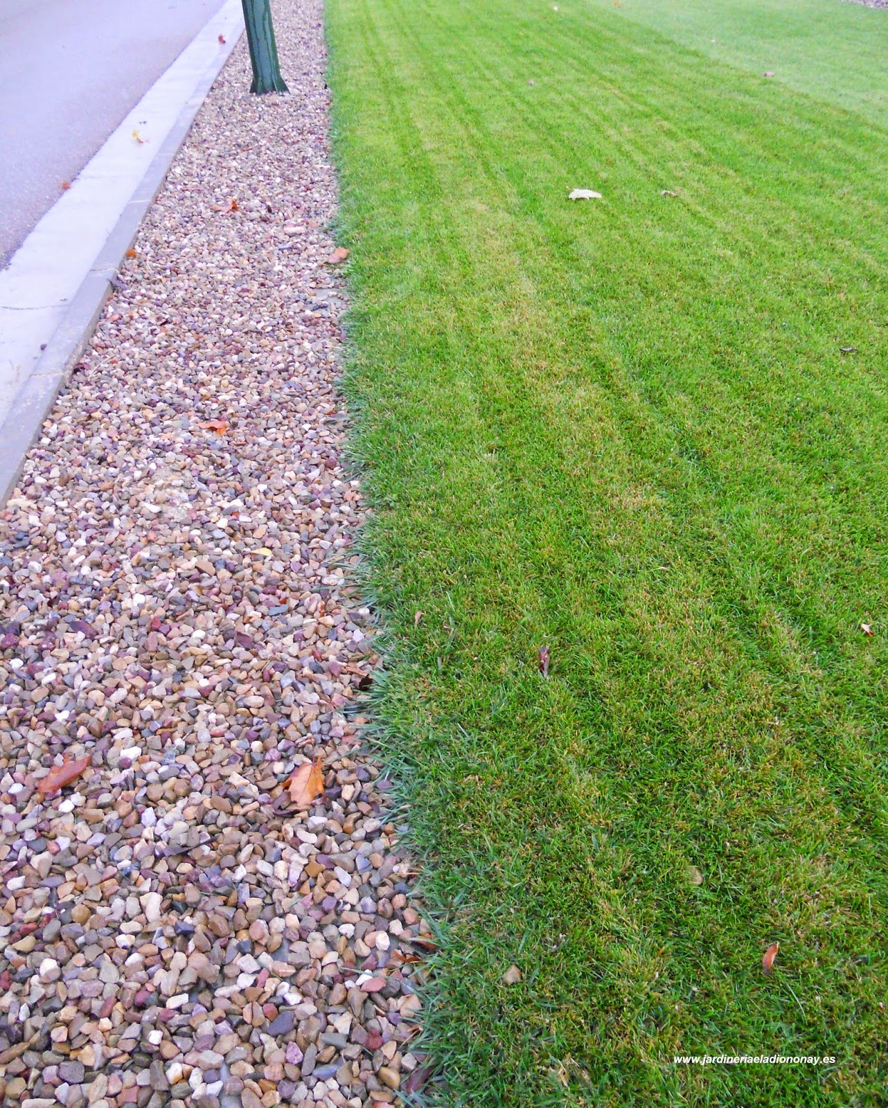 Jardineria Eladio Nonay: EMPLEO DE GRAVA Y CONSEJOS ÚTILES (Jardinería ...