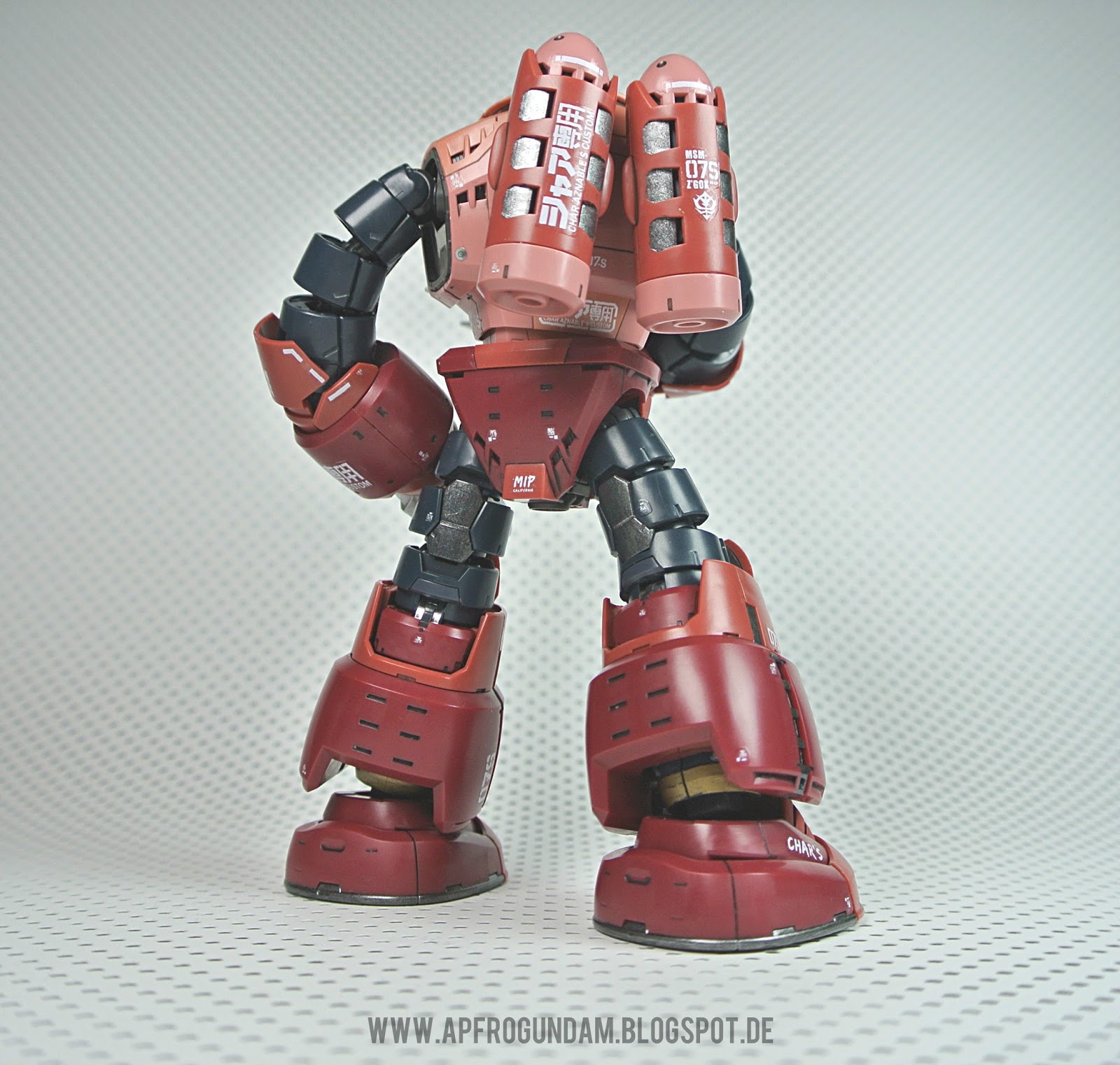 APFRO´s GUNPLA: RG Z´GOK