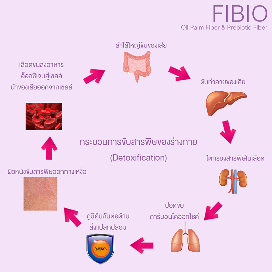 nudinar FIBIO - Oil Palm Fiber & Prebiotic Fiber: nudinar FIBIO - Palm ...