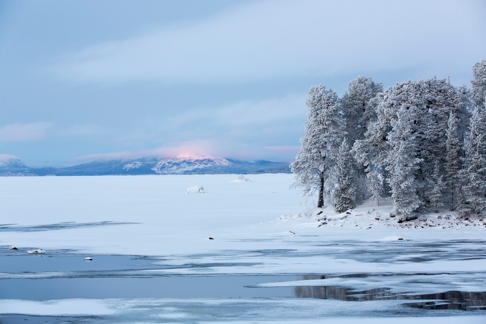 Lappland Nature