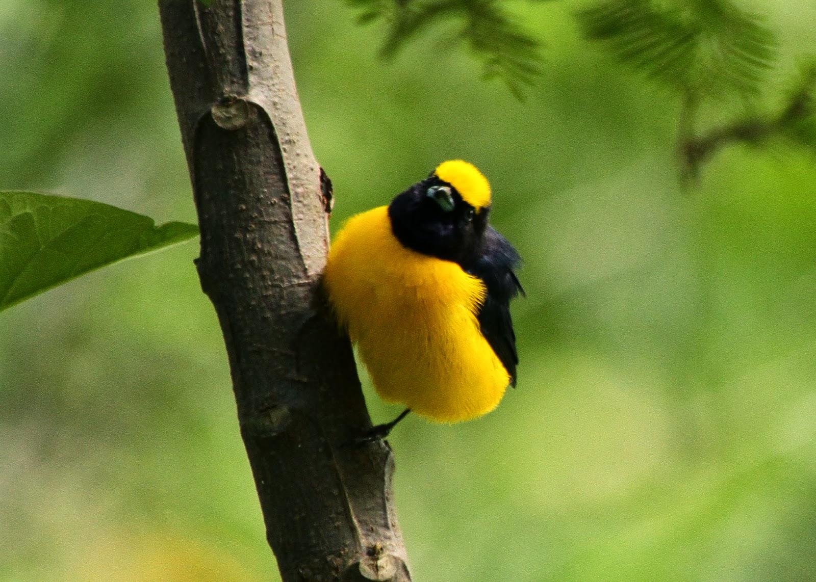 Nuestro bello mundo...: Visitantes del Cuji, Fotos tomadas en el Parque ...