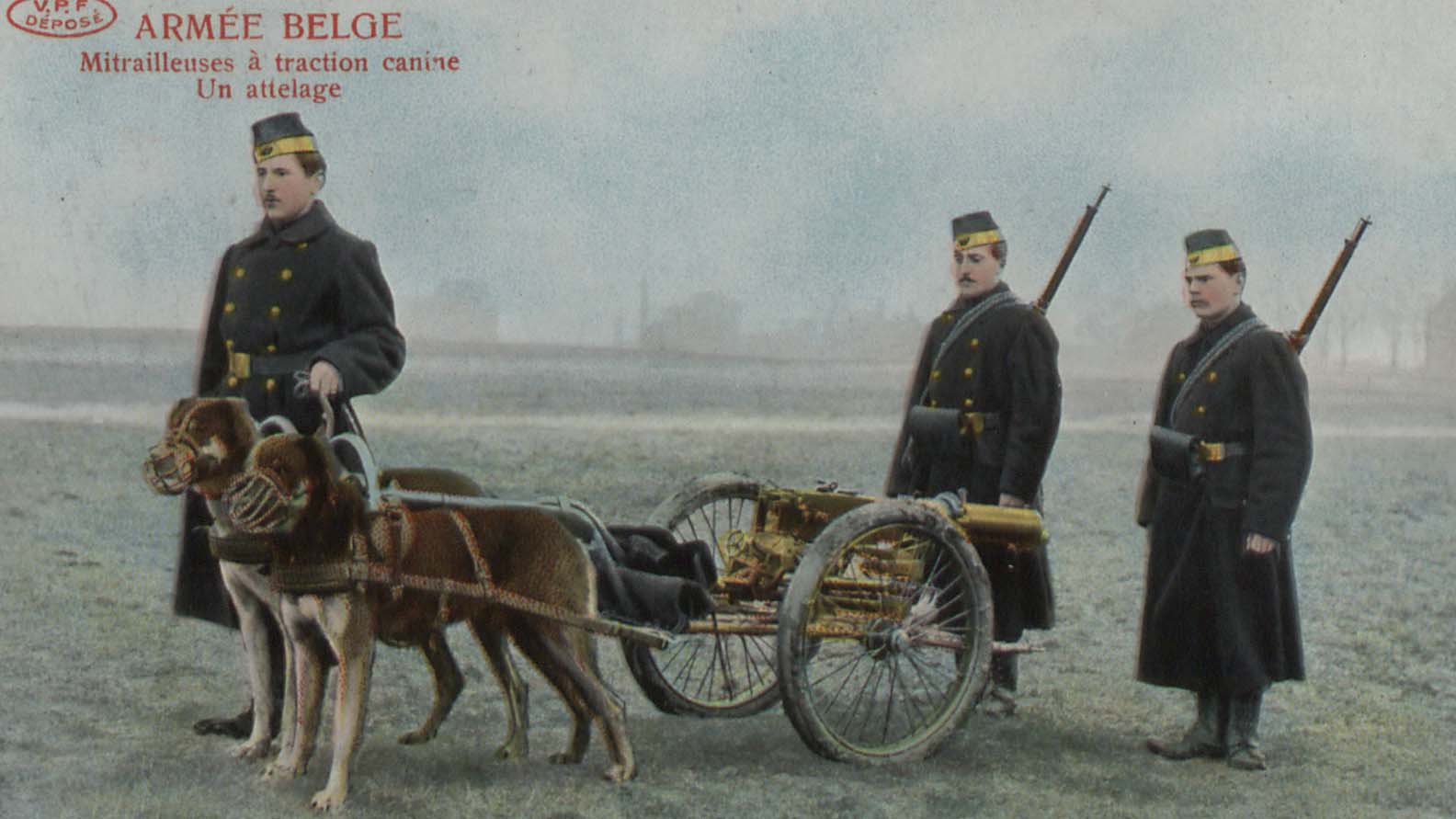 The Abode of McThag: Who's A Good Gun Dog?