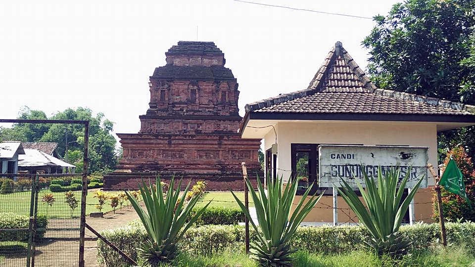 Menjejaki Candi Gunung Gangsir, Menapak Spirit Agronomi di Tengah ...