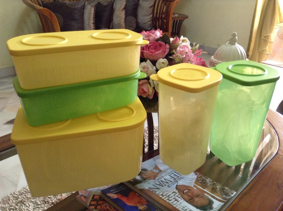 A WONDERFUL WORLD OF TUPPERWARE BRANDS: FRESH-N-COOL﻿ SET