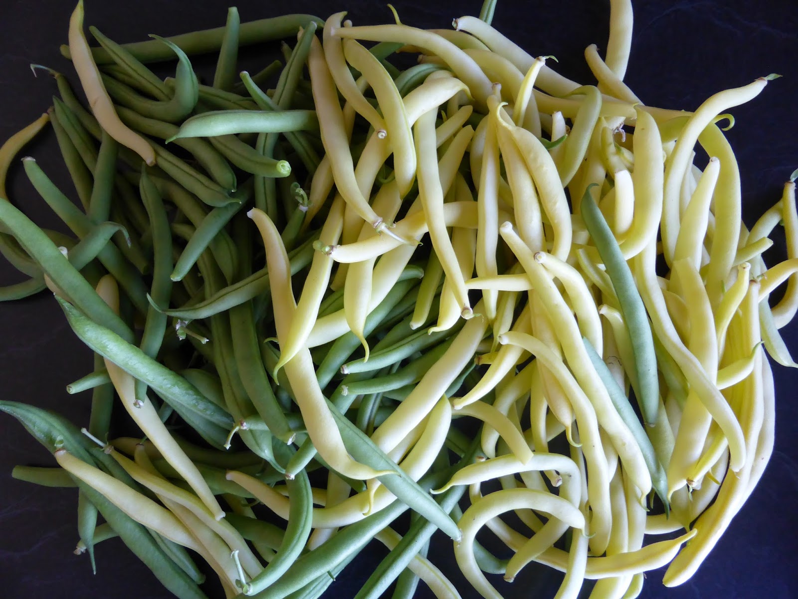 Lynda by the river: Beans Bananas Beanies Books