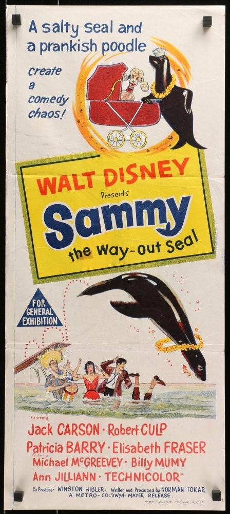 FILMOGRAFIA DISNEY: SAMMY, LA FOCA LOCA