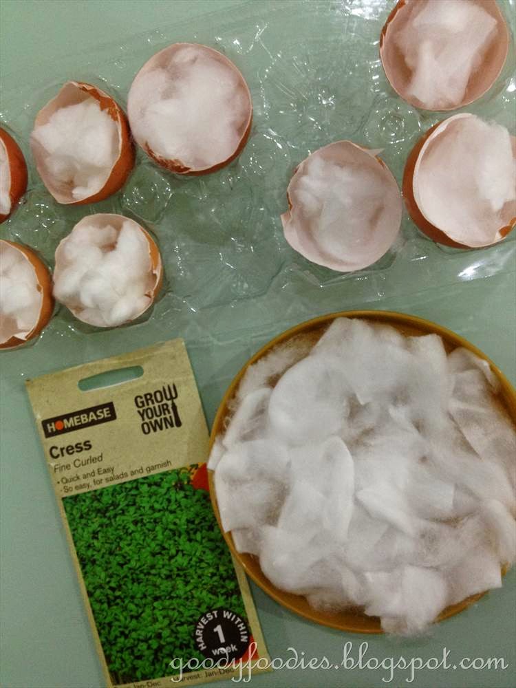 GoodyFoodies: Kids Gardening/Crafts Project: Cress Egg Heads