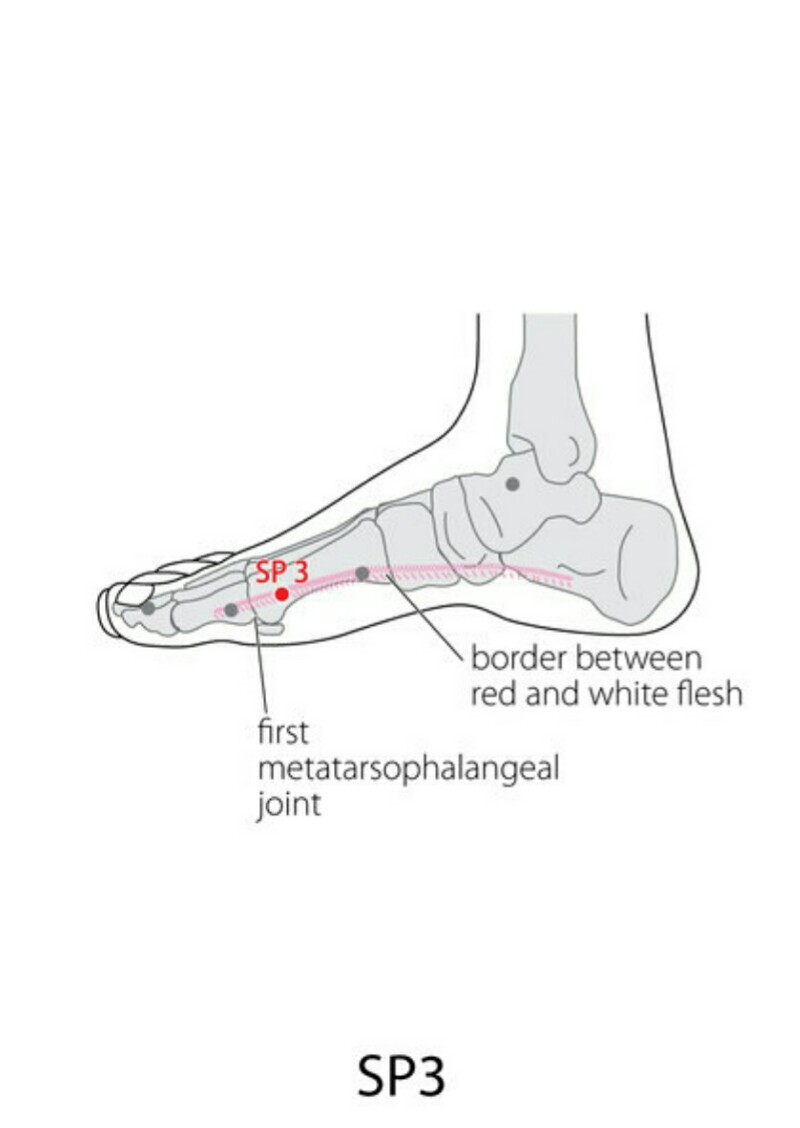 Dampness Acupuncture Points