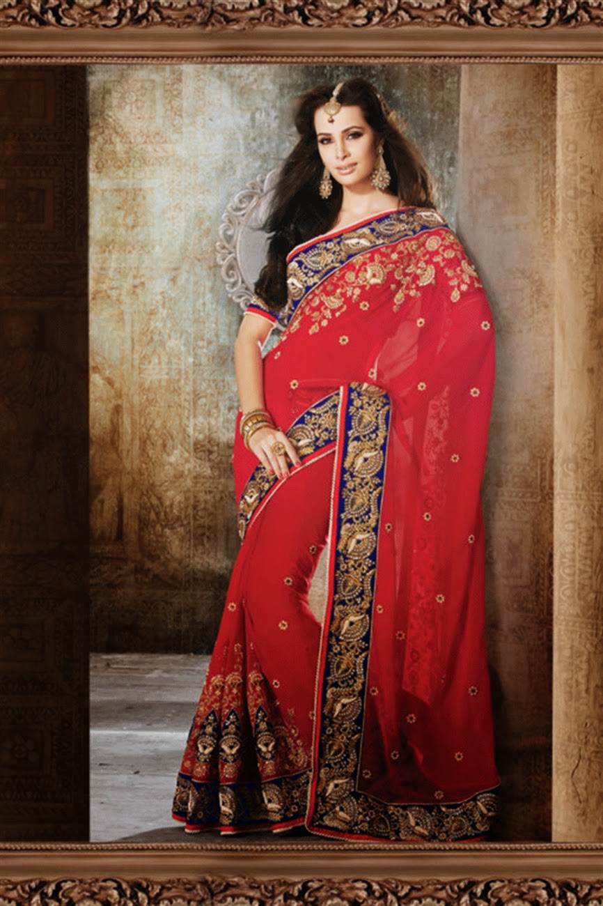 albarino net: Traditional Indian Wedding Sarees