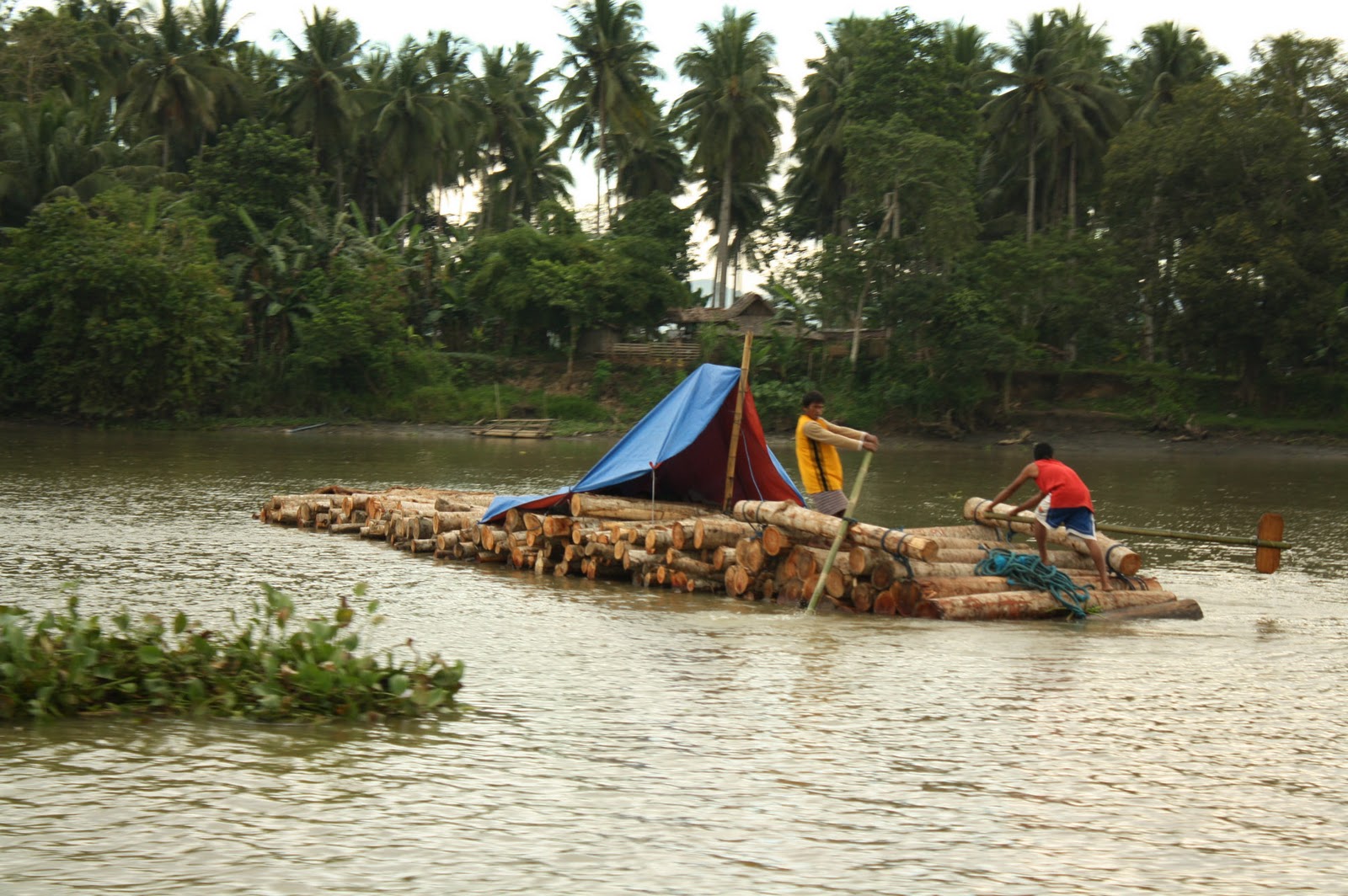The Geek Travels: CARAGA Series: Cruisin' at Agusan River