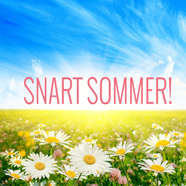 Winning Brands nyheter: Sol, sommer og rosévin