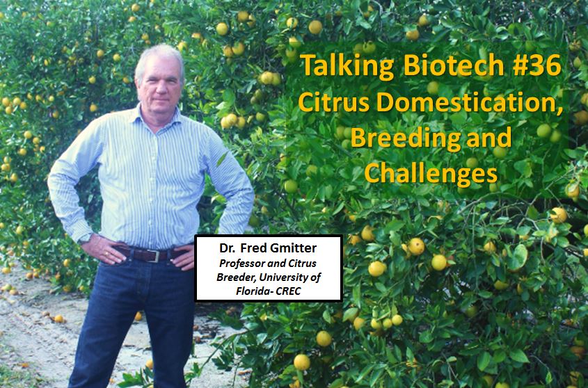 Illumination 2.0: What is Citrus? Can it be Saved With Breeding?