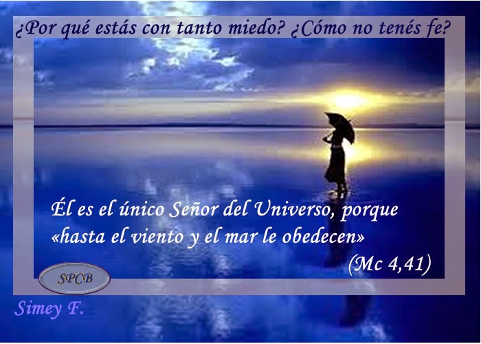 Palabra de Dios: Evangelio Comentado, ¿Por qué estáis con tanto miedo ...