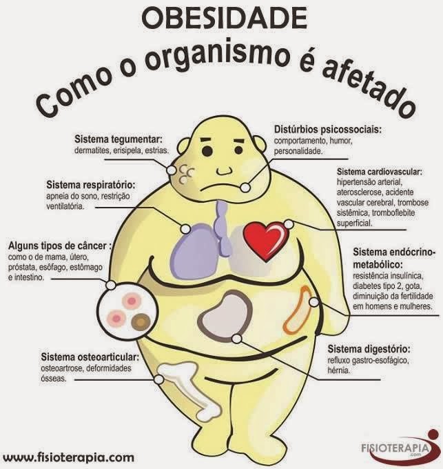 ATENDIMENTO NUTRICIONAL, CONSULTORIA E ASSESSORIA EM SAÚDE E NUTRIÇÃO ...