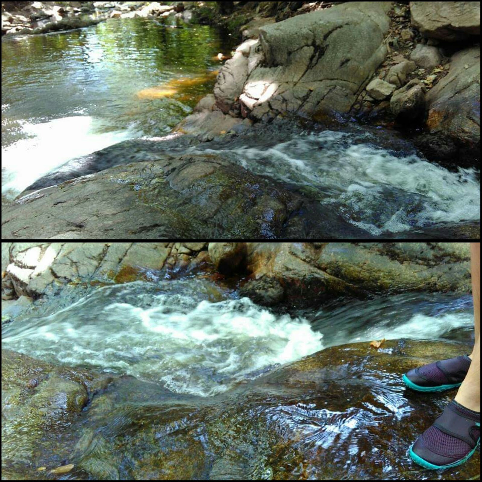 PARC MEDIAMBIENTAL DE GUALBA