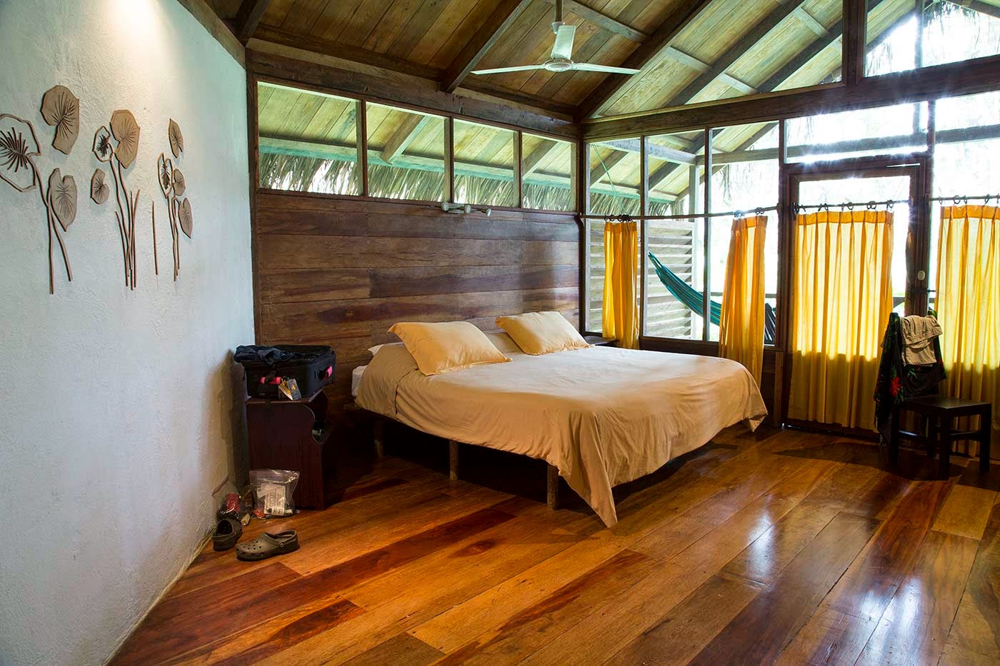 Bob's Photos: Amazon Rainforest Vacation in March