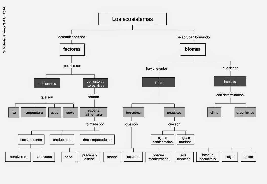 GENTE DE GAIA SEXTO A: Esquema de los Ecosistemas