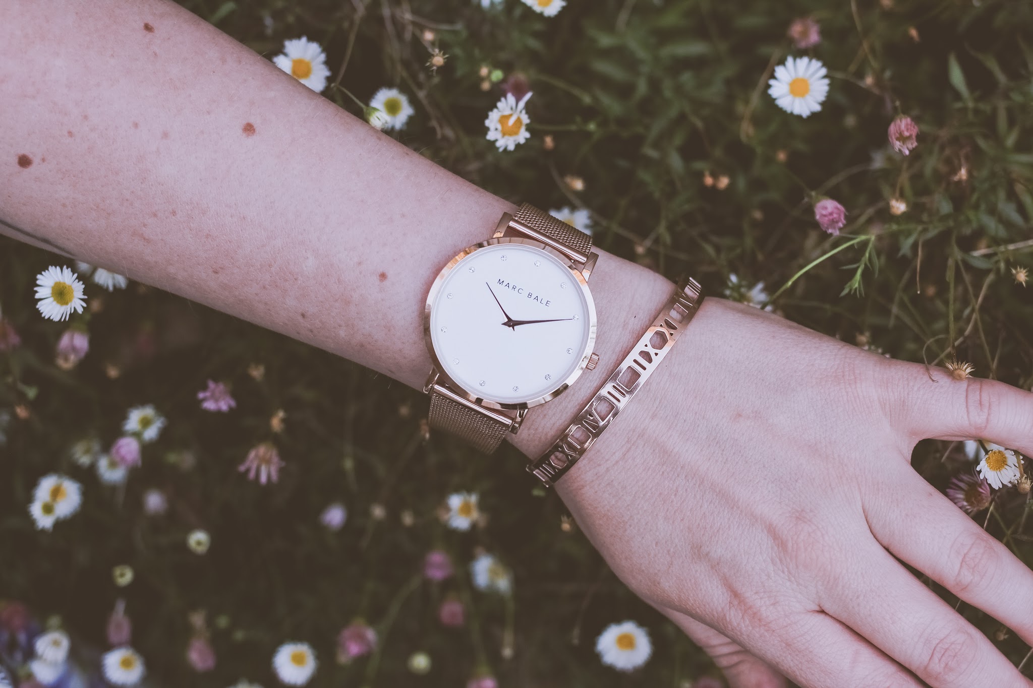 Roses and Gold - Finding Femme