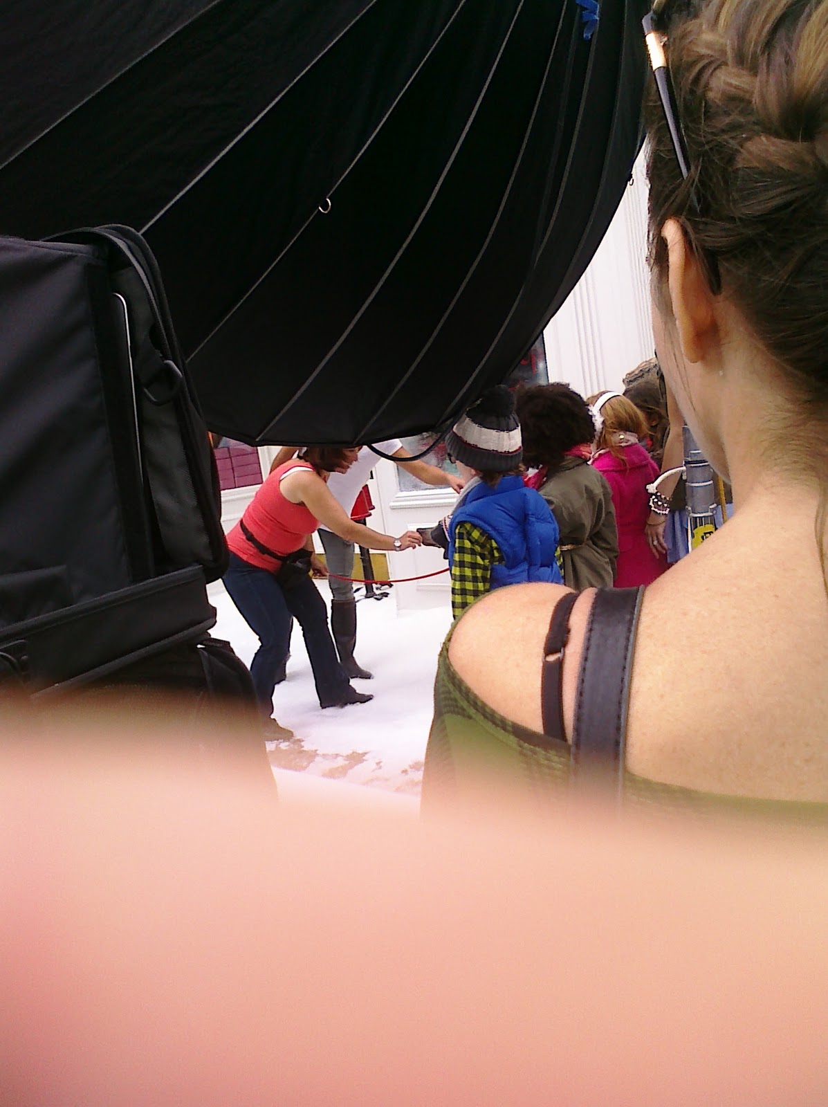 Savi, CH Grayhart's Shear Genius, CD, SH, NA, NAJ, NSD, NRD, CGC, VX ...