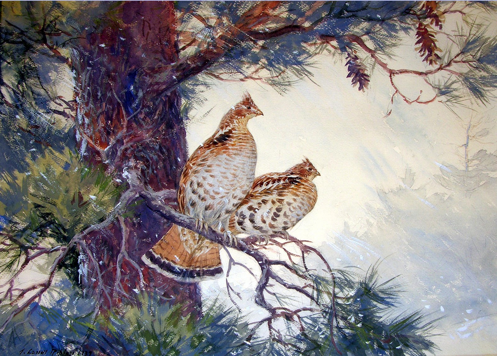 An Ornithological Watercolor by Aiden Lassell Ripley - A Representation ...