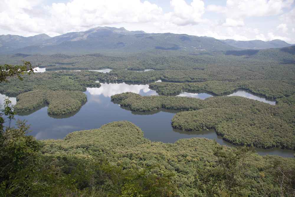 Parambikulam Tiger Reserve - Kerala Jungles